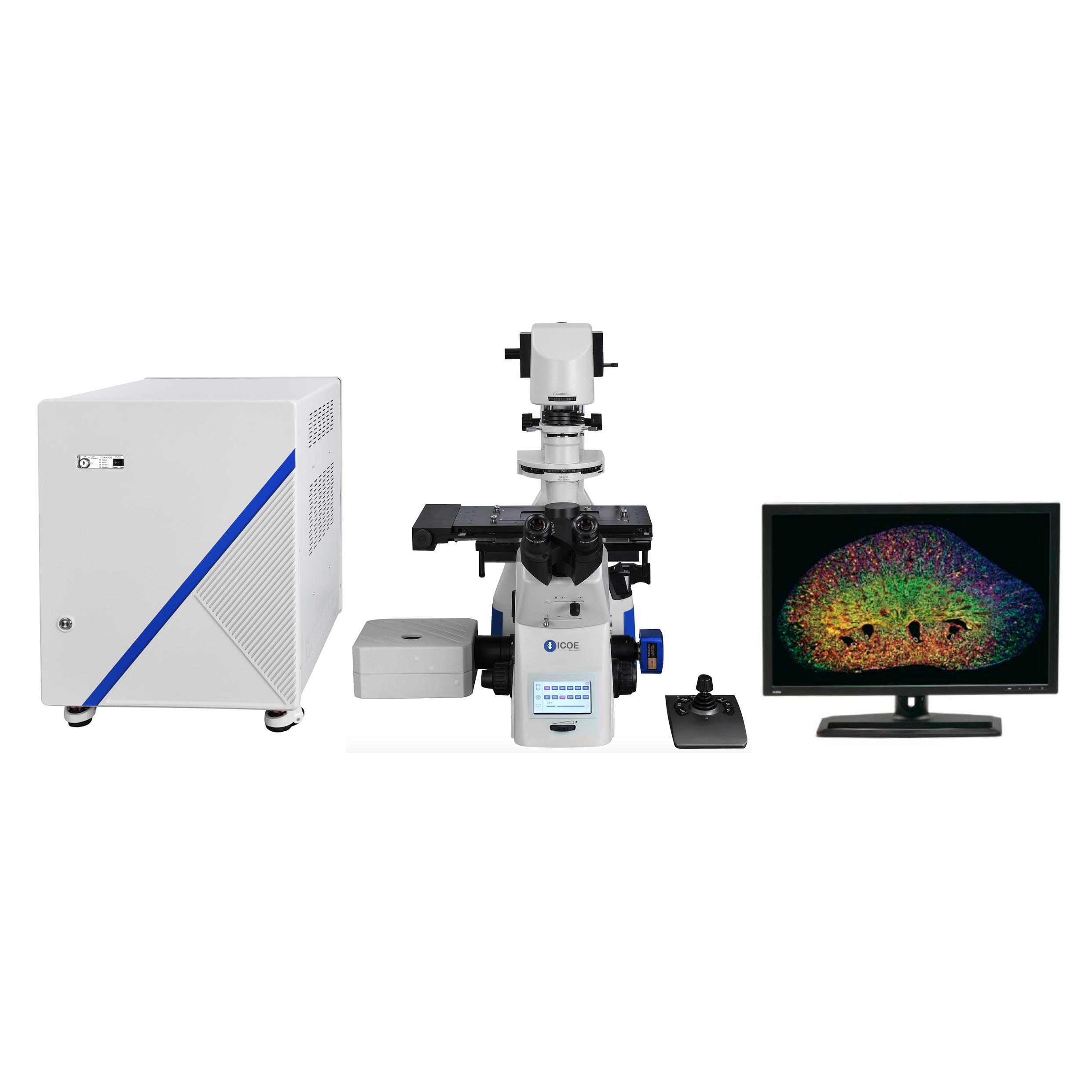 Fluorescence Microscopes | nbicoe.com