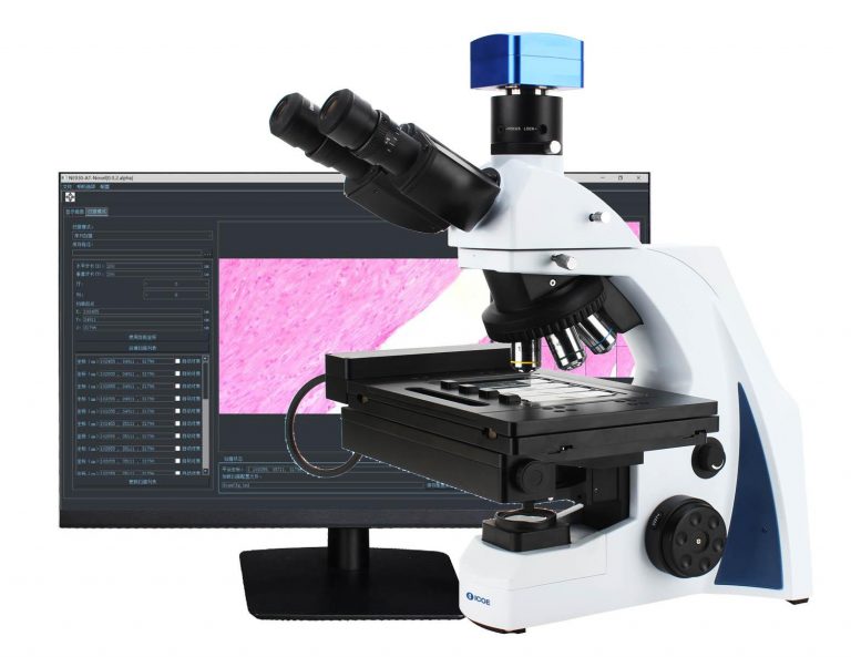 SCAN2100 Series Infinite Biological Motorized Scanning Microscope ...