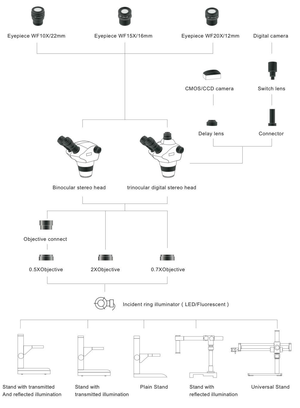 Stereoscopic Microscope Diagram